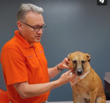 Eyedrop video-how to-dr hamor | Stokes Pharmacy