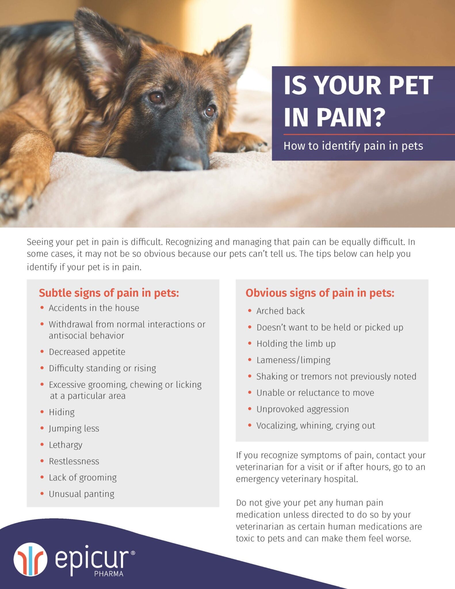 Resources | Stokes Pharmacy