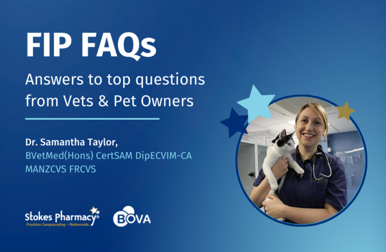 FIP FAQs: Facts Veterinarians and Pet Owners Need to Know about ...