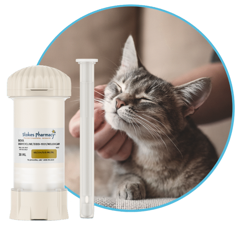 FIP FAQs: Facts Veterinarians and Pet Owners Need to Know about ...